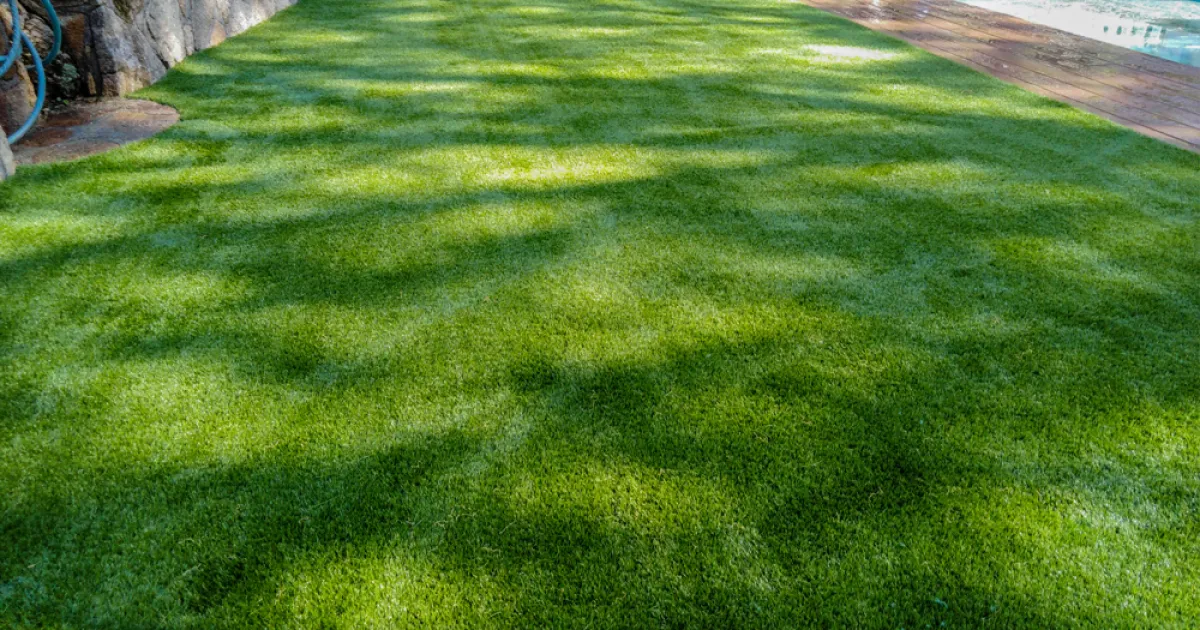 How to choose the ideal artificial grass: practical guide